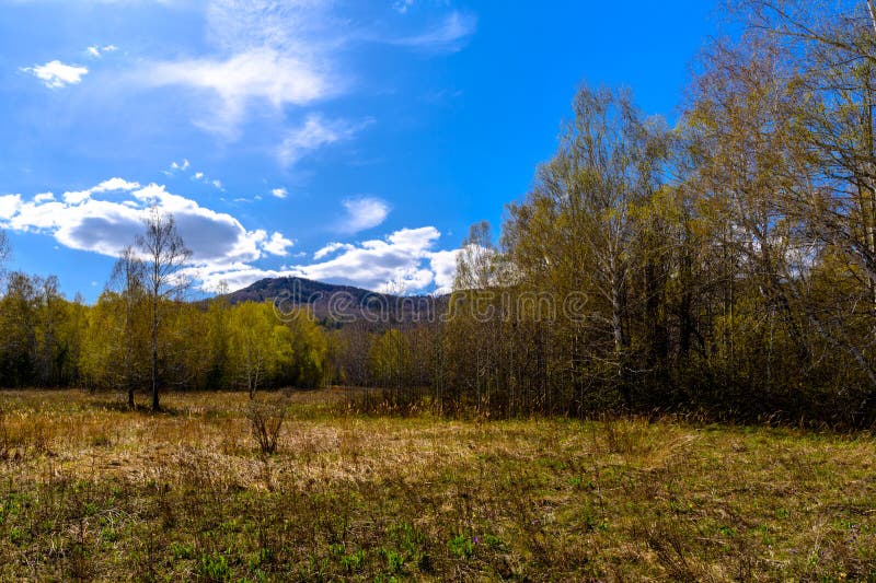 South Ural Forest with a Unique Landscape, Vegetation and Diversity of ...