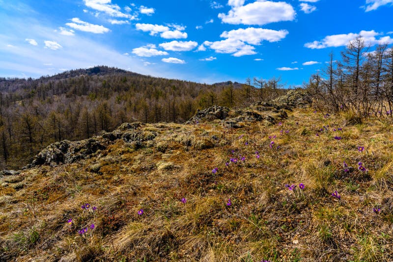 South Ural Mountains with a Unique Landscape, Vegetation and Diversity ...