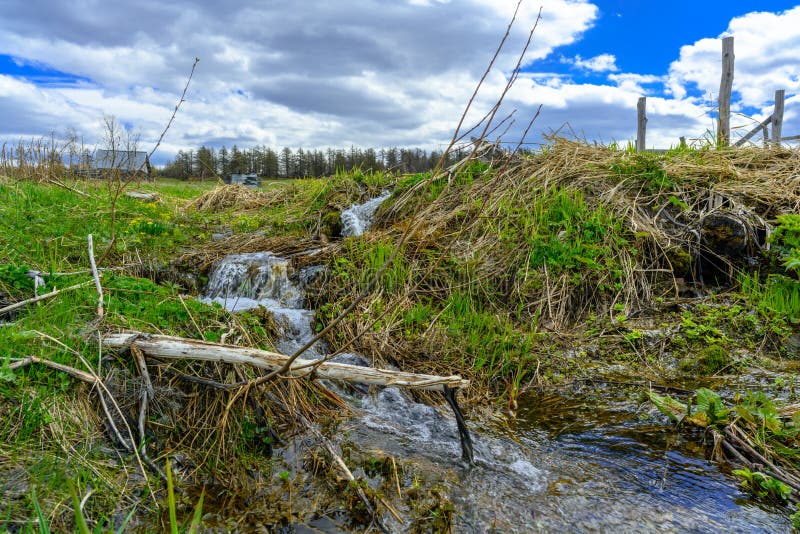 South Ural Rough Stream with a Unique Landscape, Vegetation and Diversity of Nature. Stock Photo ...