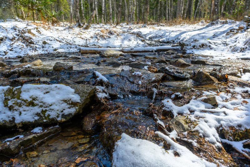 South Ural Rough Stream with a Unique Landscape, Vegetation and ...