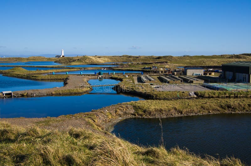 South Walney Oyster Farm stock image. Image of reserve - 18912371