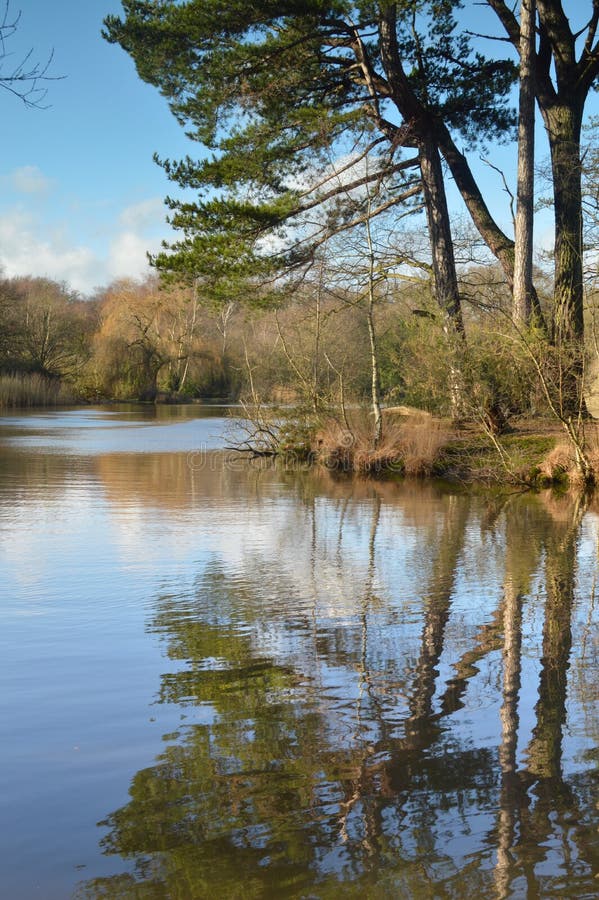 Southampton Common stock image. Image of common, southampton - 50438755