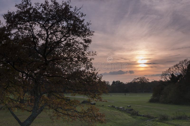 Sunset on Southampton Common Stock Photo - Image of sunset, common ...