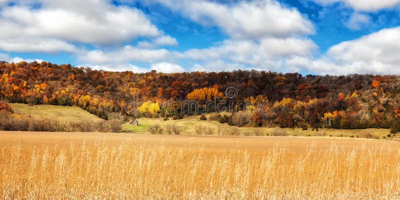 Southeast MN Autumn stock photo. Image of field, grain - 68935712