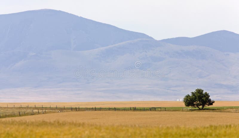 Southern Alberta Rural Scene Prairie Stock Image - Image of road ...