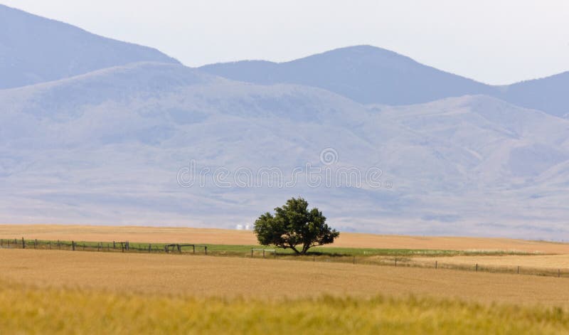 Southern Alberta Rural Scene Prairie Stock Image - Image of alberta ...