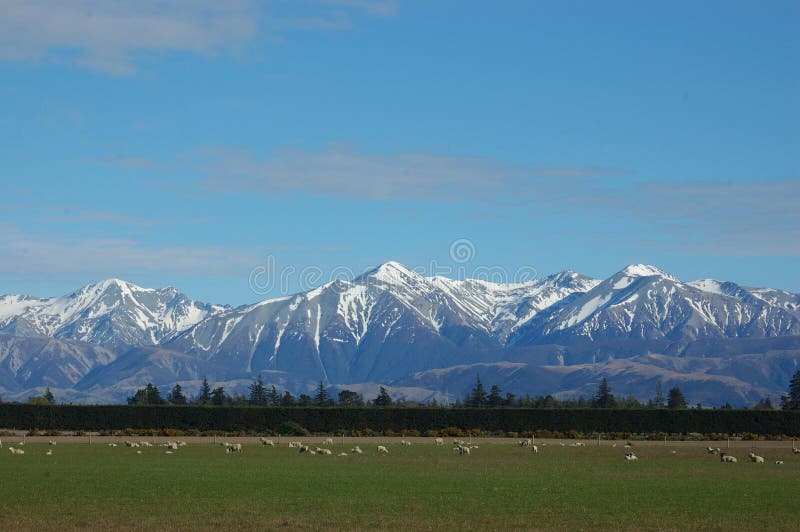 Southern Alps stock image. Image of mount, farms, landscapes - 5425631