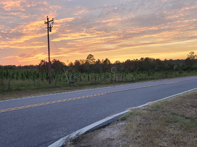 Southern Backroad at Sunset with Pine Fields and Power Lines Stock ...