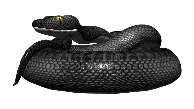 Snake-Black Racer stock illustration. Illustration of digital - 14783178