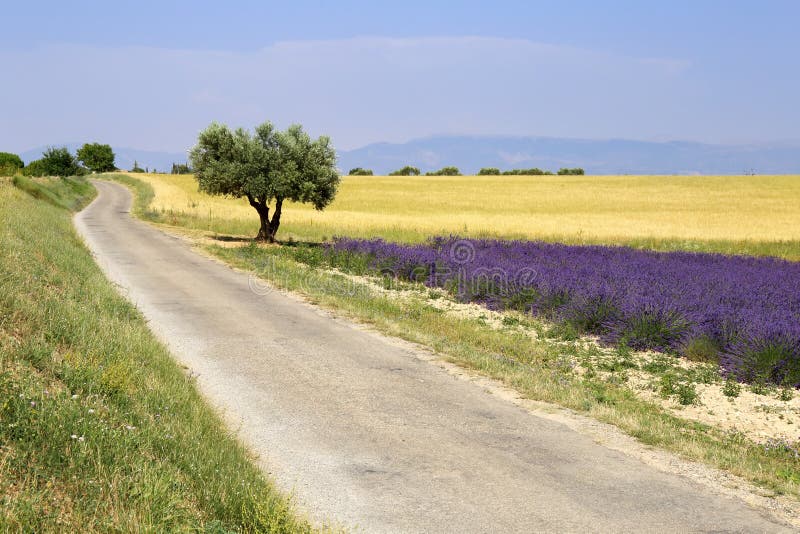 Southern France, Landscape. French Riviera, View of the Vence Vi Stock ...
