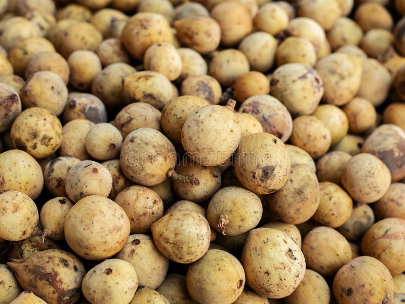 Southern Langsat, Bunch of Southern Langsat Fruit As Background Stock ...