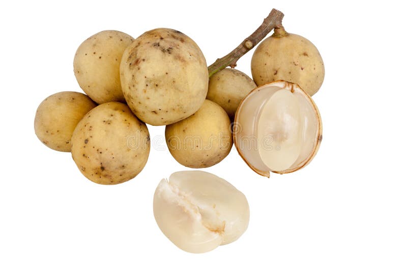Langsat Fruit Isolated stock image. Image of sweet, snack - 6558269