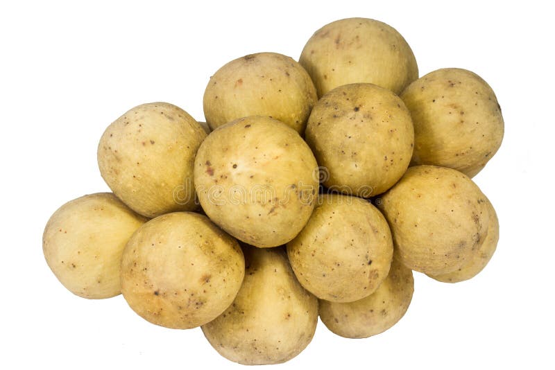 Southern Langsat Fruits (Lansium Domesticum) Stock Image - Image of ...