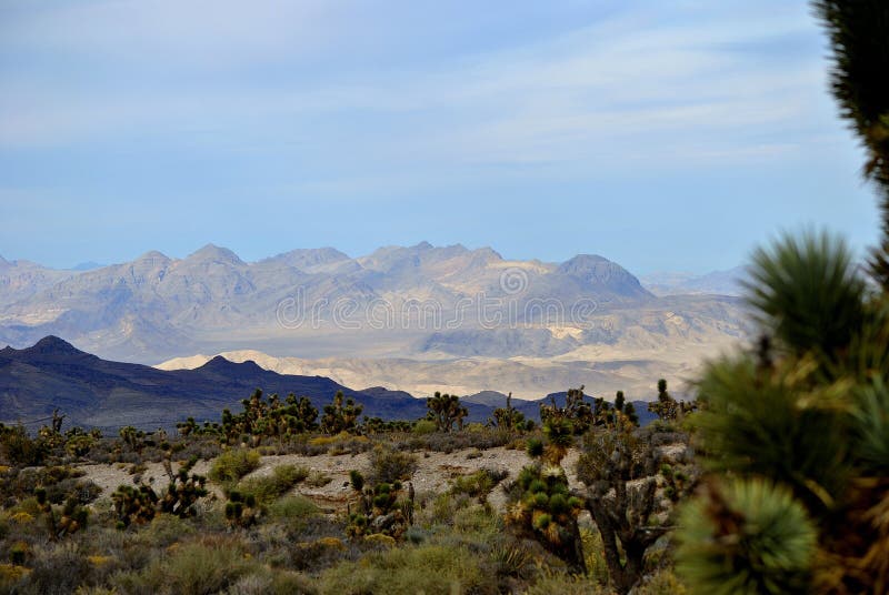 Southern Nevada Desert stock image. Image of nevada, desert - 25867857