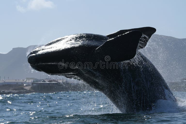 508,513 Right Handhindi Stock Photos - Free & Royalty-Free Stock Photos ...