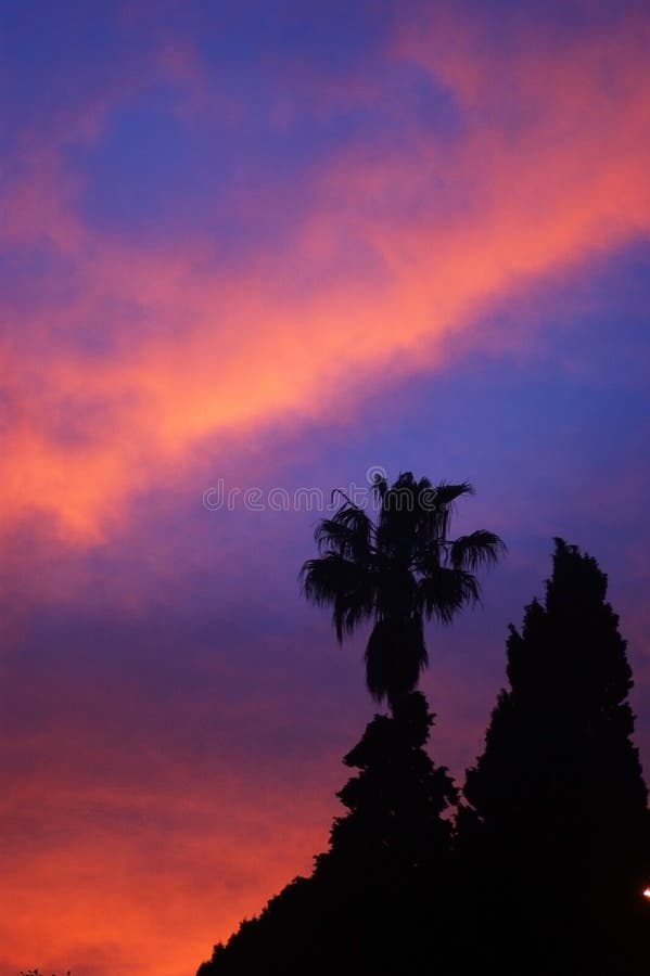 Southern sunset stock photo. Image of graphical, incarnadine - 63897722