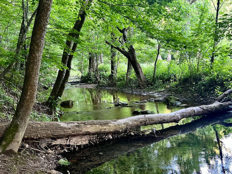 Nature images in Virginia stock photo. Image of nature - 321130782