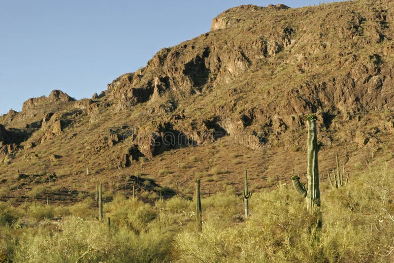 Southwest Desert Background Stock Photo - Image of background, south ...