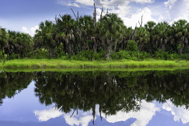 Southwest Florida Waterscape Stock Image - Image of reflection ...