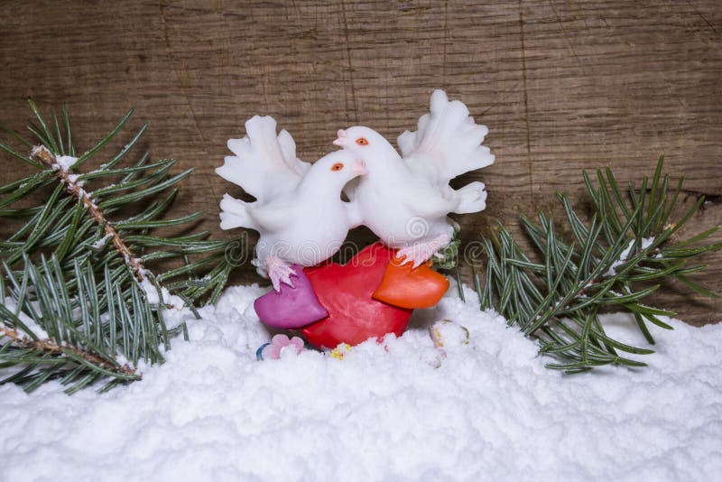 Souvenir of Steam of Pigeons in Snow Stock Image - Image of photowall ...