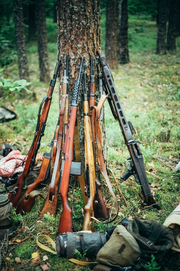 Soviet and German Rifles of World War II - SVT 40 Stock Image - Image ...