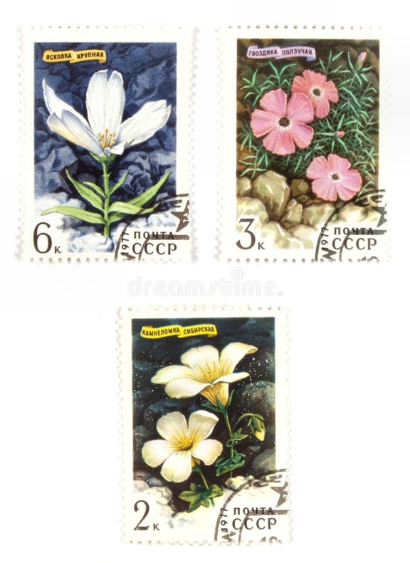 Soviet stamps with flowers editorial stock image. Image of mail - 3180379