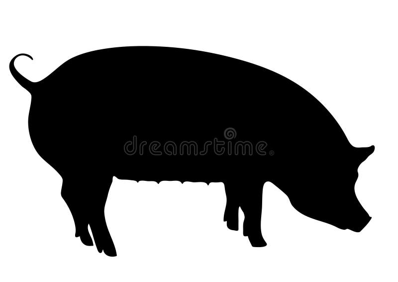 Sow stock vector. Illustration of rural, foodstuff, pigpen - 2816800