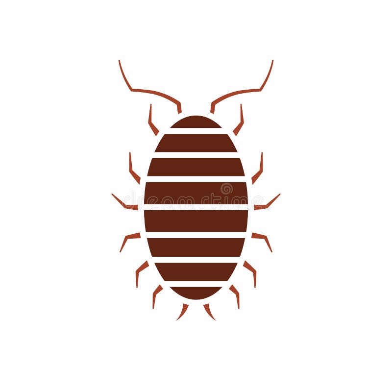 Pillbug Stock Illustrations – 76 Pillbug Stock Illustrations, Vectors ...