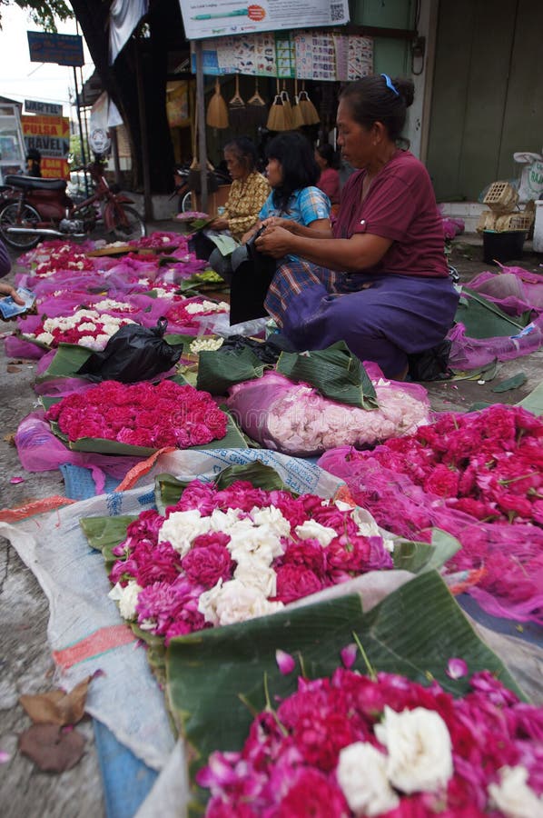 Sow flowers editorial photo. Image of bazaar, flowers - 41737791