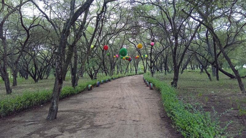 Sowan Beach Tuban Stock Photos - Free & Royalty-Free Stock Photos from ...