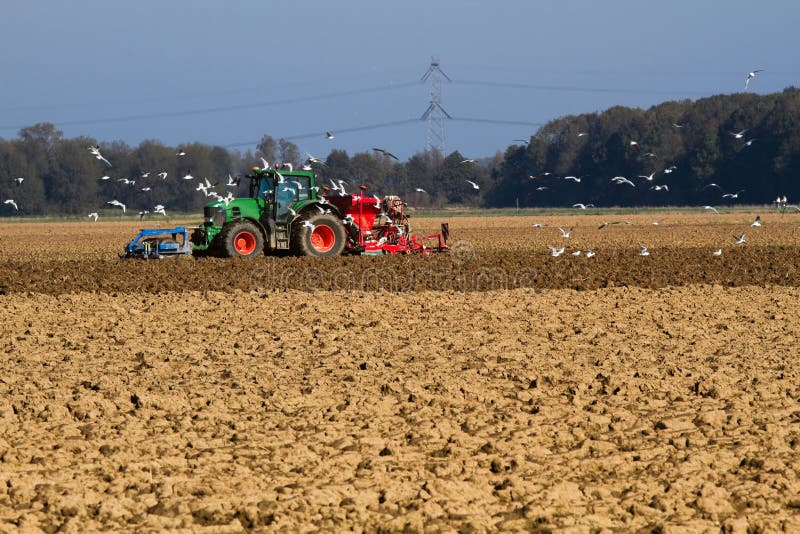 Sowing the Field with Tractor Stock Photo - Image of environment, plant ...