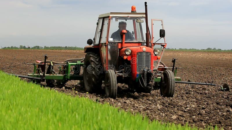 Sowing maize stock photo. Image of seed, cultivation - 13531020