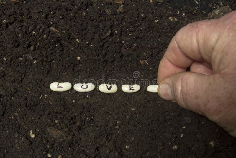 Sowing the Seeds of Love stock photo. Image of soil, seed - 54181620