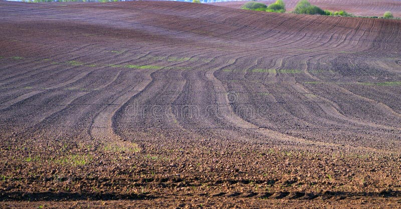 Sown area. stock image. Image of texture, view, horizontal - 74053081