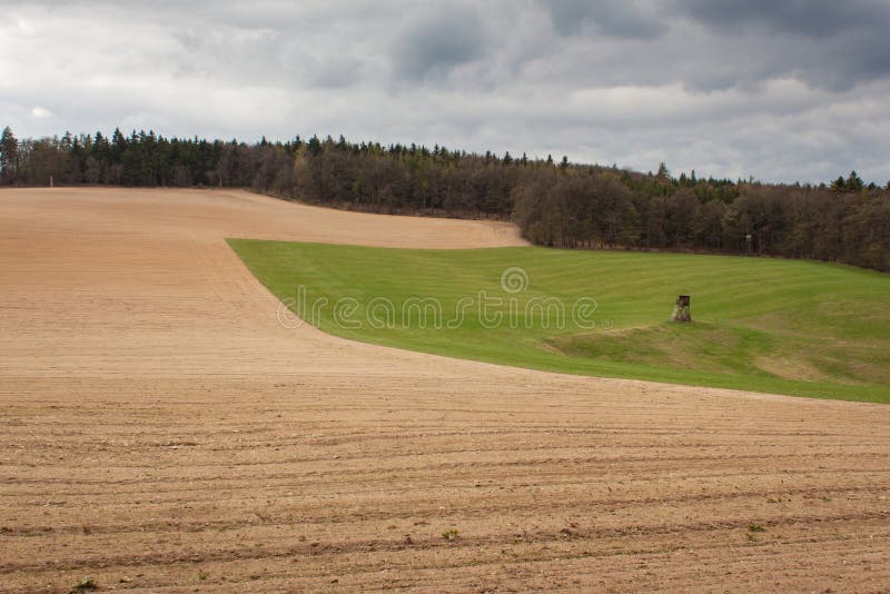 Sown Field in Spring. Overcast Day. Stock Image - Image of land ...