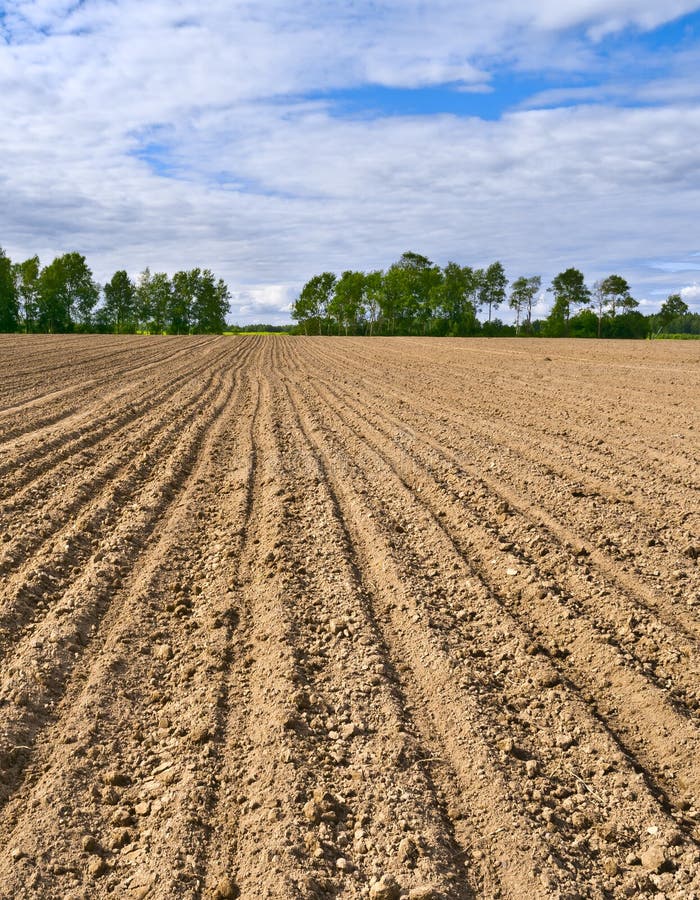 Sown field stock photo. Image of central, agriculture - 50673790