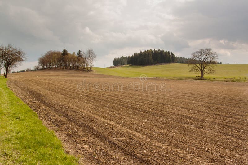 Sown Fields in the Czech Republic. an Overcast Spring Day in the Fields ...