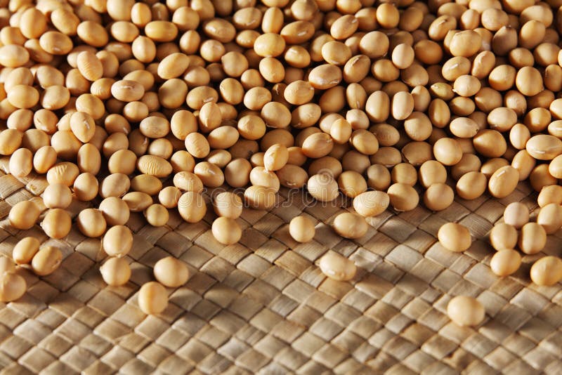 Soy bean stock photo. Image of soymilk, health, bean - 15239908