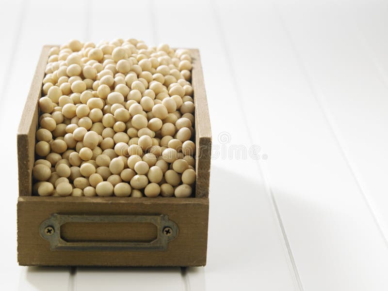 Soy bean stock image. Image of vegetable, food, wooden - 53812121