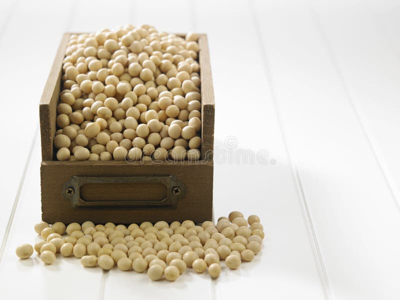 Soy bean stock photo. Image of wooden, beans, full, soya - 53812124
