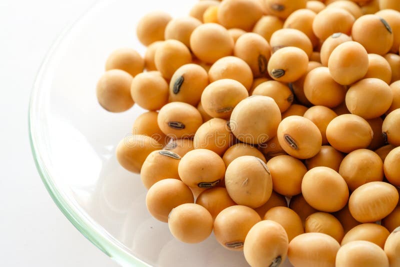 Soy bean stock photo. Image of nutrition, organic, clean - 56712160