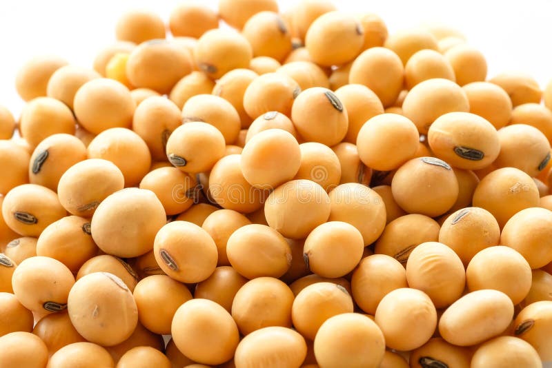 Soy bean stock image. Image of seed, nutrition, asian - 56712181