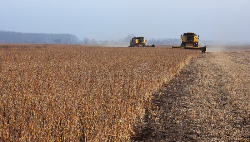Paddy Harvesters on Paddy Field Stock Image - Image of rice ...