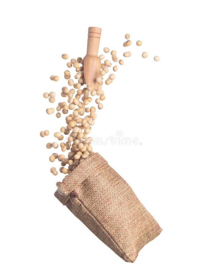 Soy Bean Flying Explosion in Sack Bag, Yellow Grain Beans Explode ...