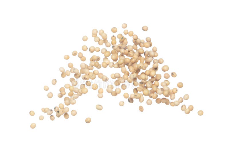 Soy Bean Flying Explosion, Yellow Grain Beans Explode Abstract Cloud ...