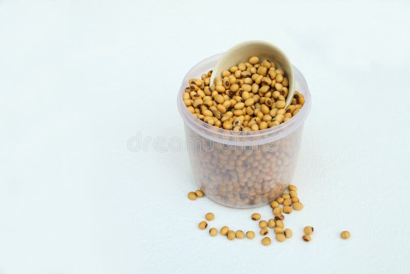 Soy bean in plastic bowl stock photo. Image of nutritious - 154260588