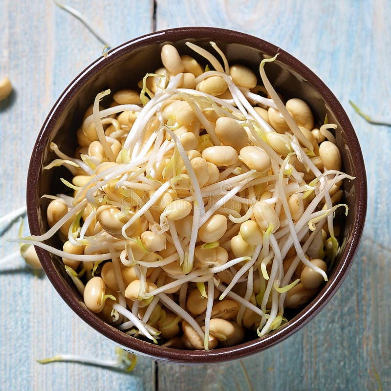 Soy Bean Sprouts, AI Generated Stock Illustration - Illustration of ...