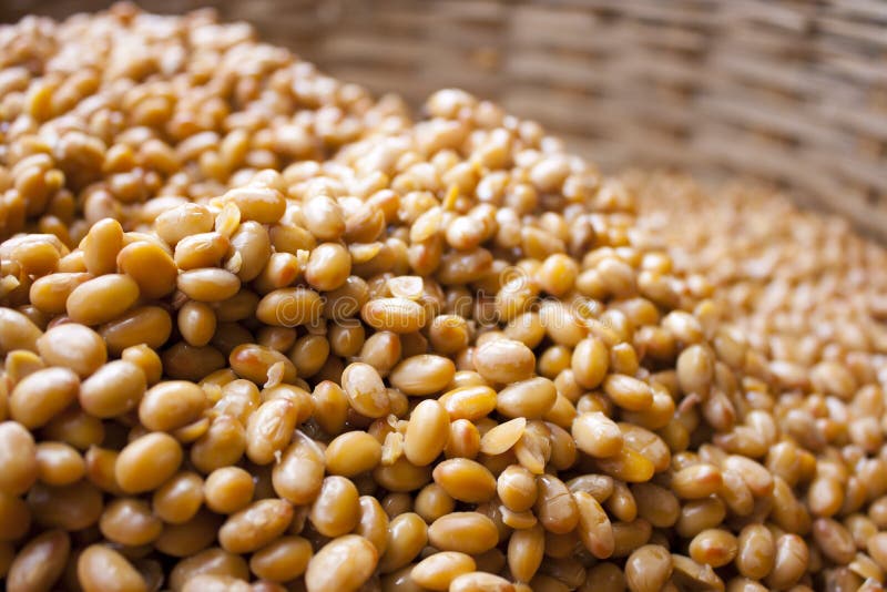 Fermented soy beans stock photo. Image of natto, food - 29591578