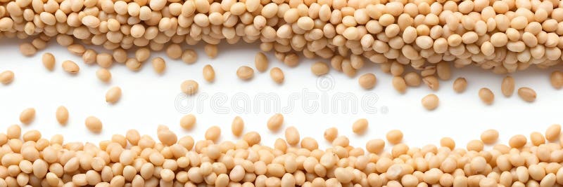 Soy Beans on Border Side on Plain White Background Copyspace Ai ...