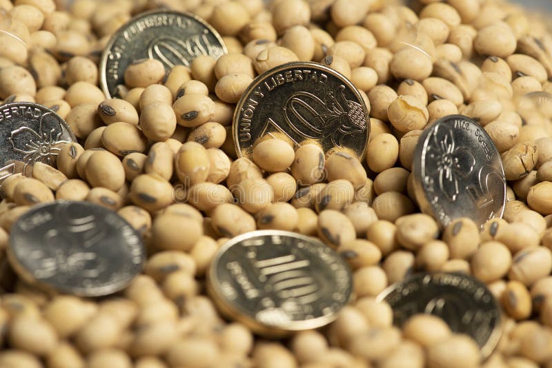 Soy Beans, with Metal Money, Stock Photo - Image of grass, force: 249630710